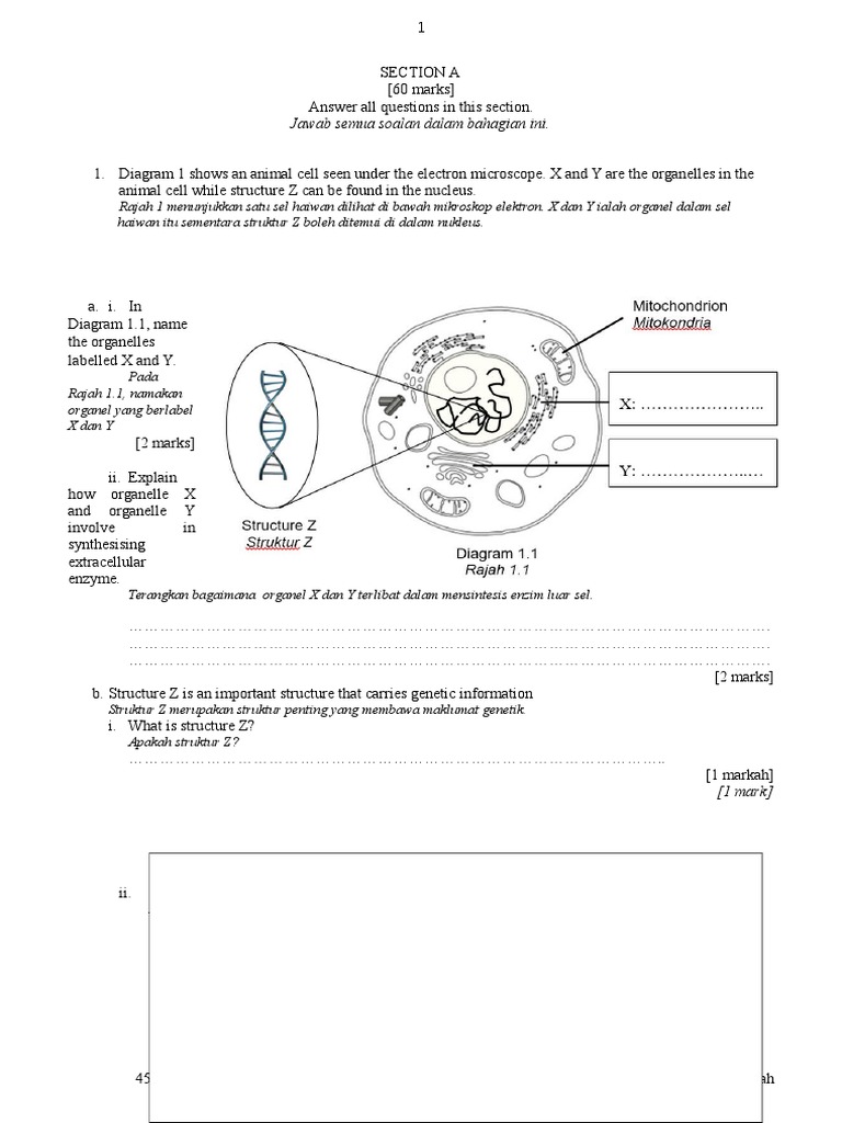 Mid Year Biology f5 Paper 1 2016 | PDF