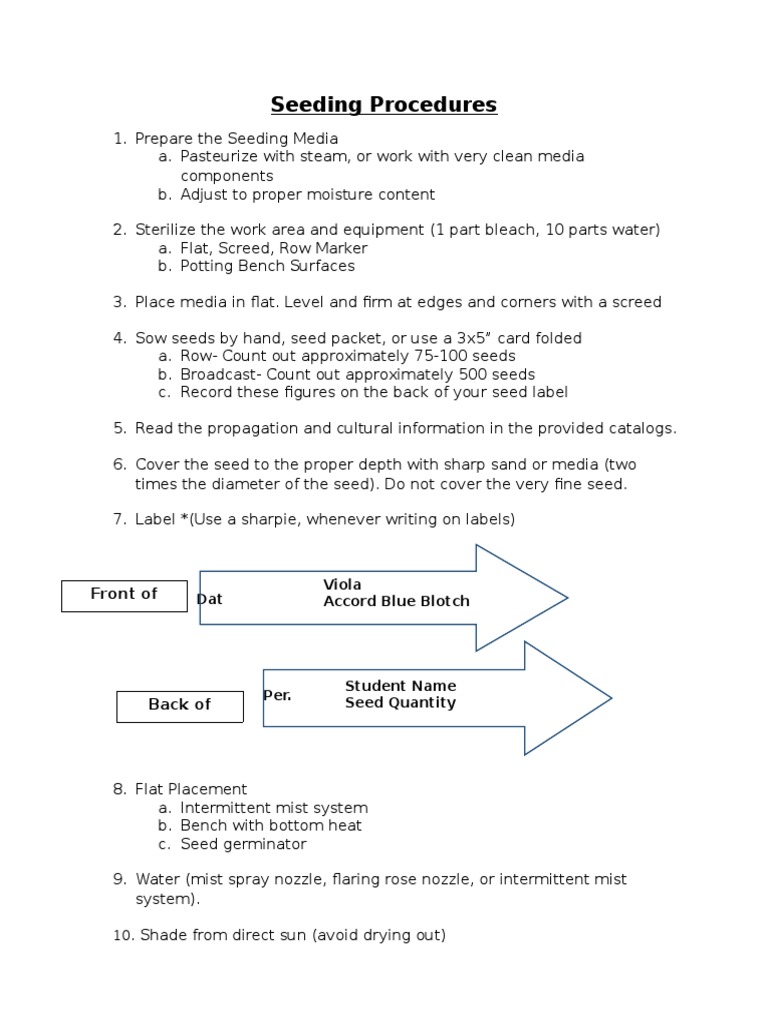 Seed Germination and Seeding Procedures | PDF | Home & Garden