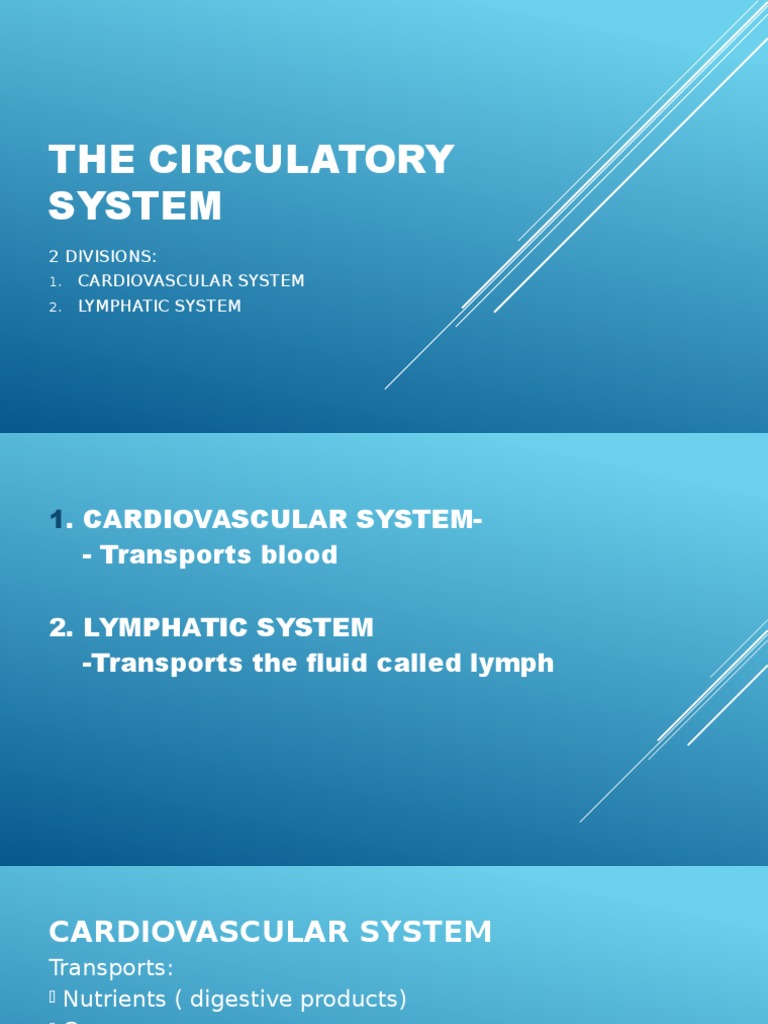 The Circulatory System: 2 Divisions: Cardiovascular System Lymphatic ...