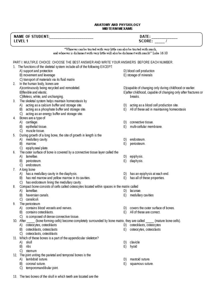 Midterm Exams - Anatomy | PDF | Vertebral Column | Luteinizing Hormone