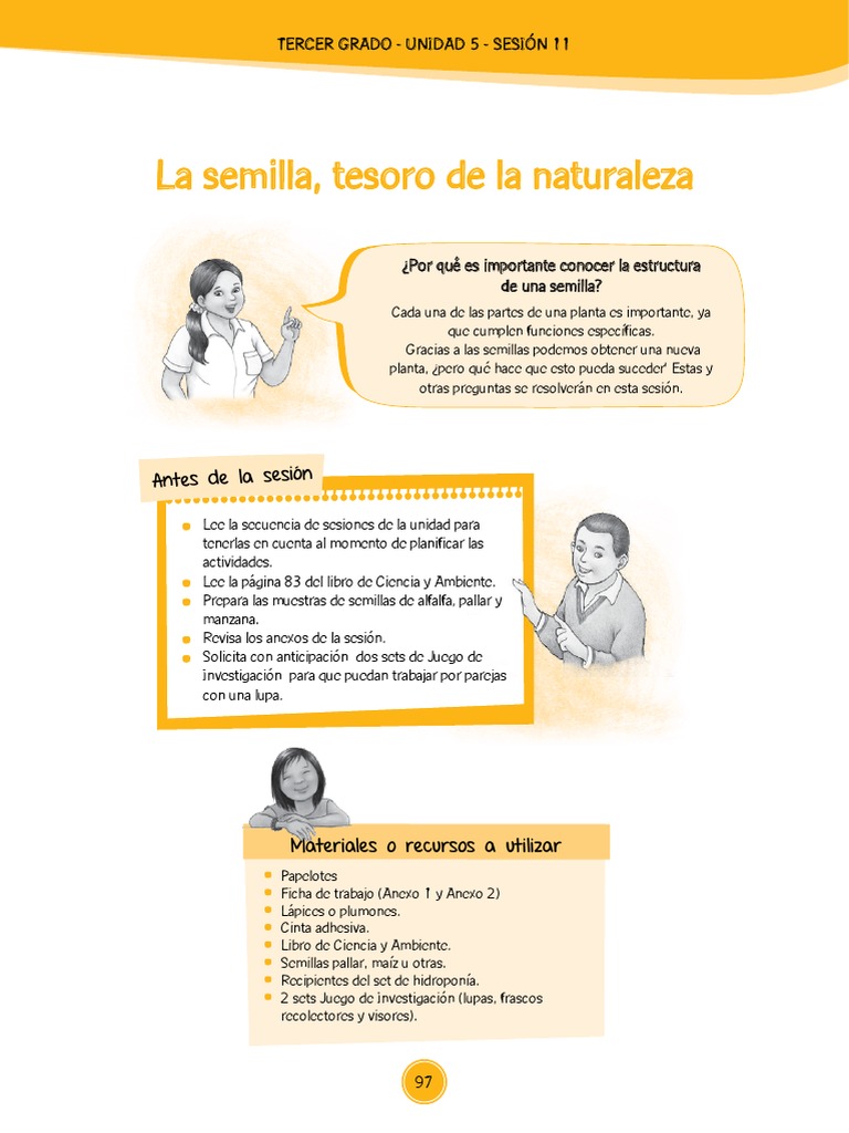 11la Semilla, Tesoro de La Naturaleza | PDF | Semilla | Germinación