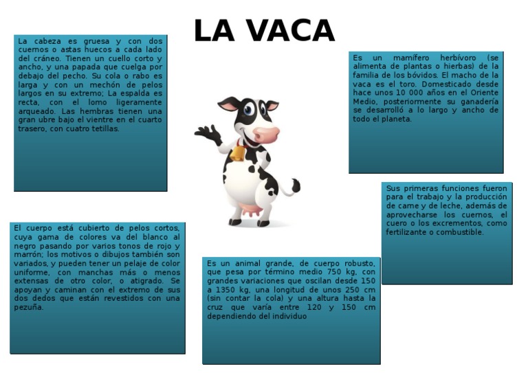 LA VACA Infografia | PDF