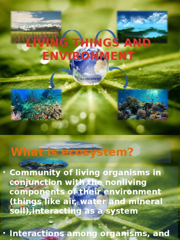 Ecosystem: Living Things and Their Roles | PDF | Ecosystem | Systems ...