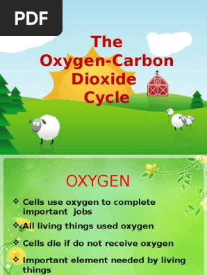 Oxygen And Carbon Dioxide Cycle