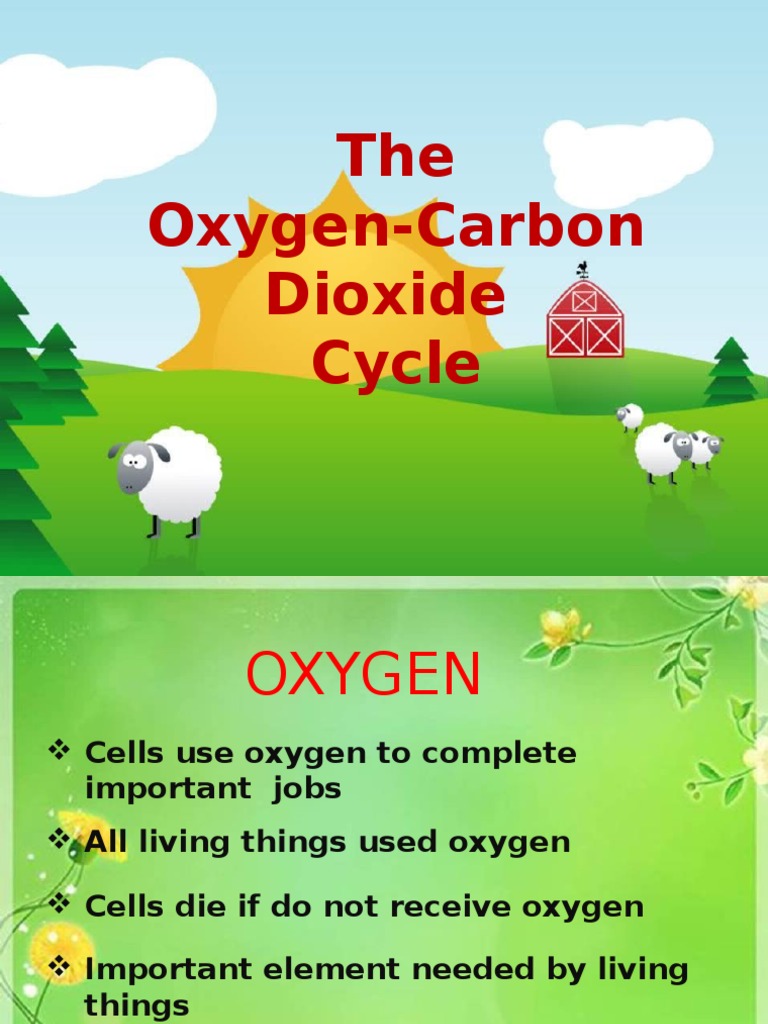 The Oxygen-Carbon Dioxide Cycle | PDF