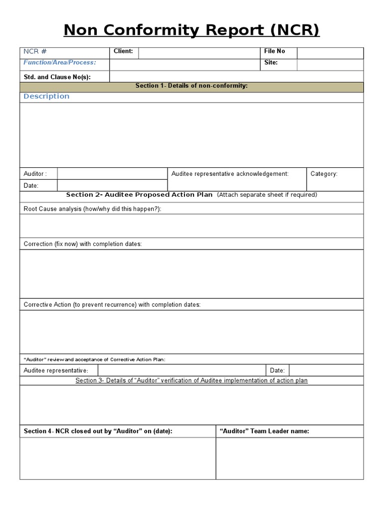 Non Conformity Report | PDF | Computing | Business
