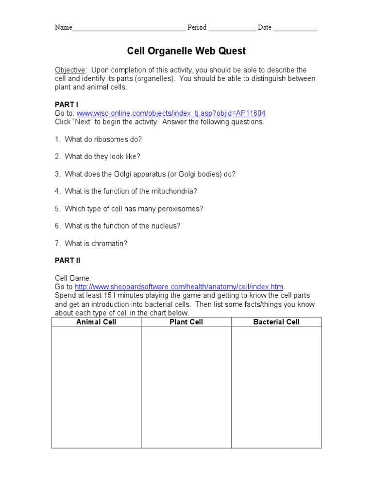 Cell-Organelle-Web-Quest 10 | PDF | Games & Activities | Computers