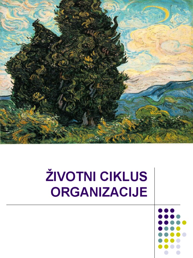 Zivotni Ciklus Organizacije | PDF