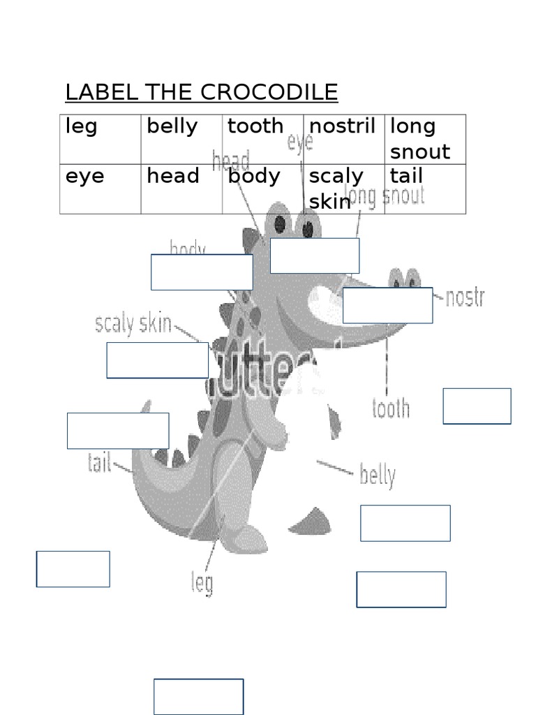 Label The Crocodile | PDF
