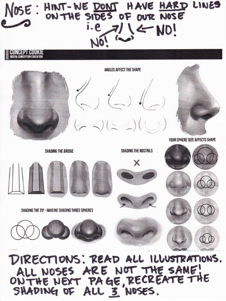 Nose Tutorial | PDF | Computers | Technology & Engineering