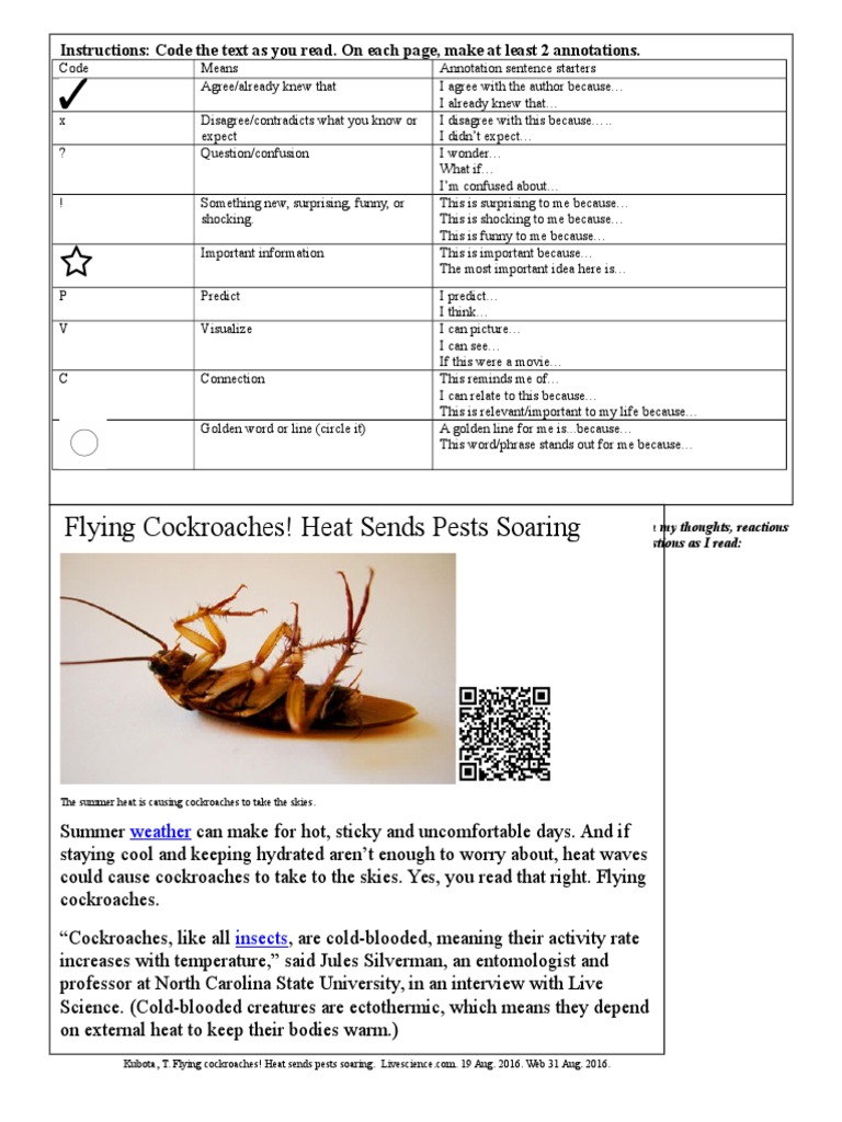 Cockroaches | PDF | Nature