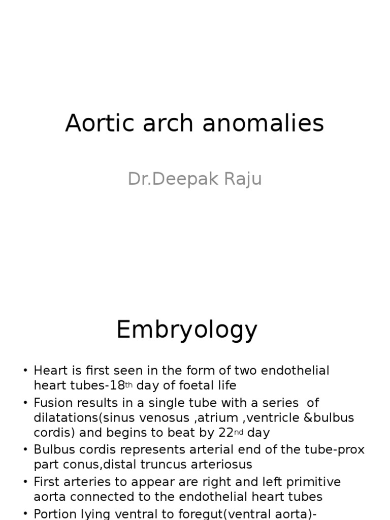 Aortic Arch Anomalies Overview | PDF | Aorta | Common Carotid Artery