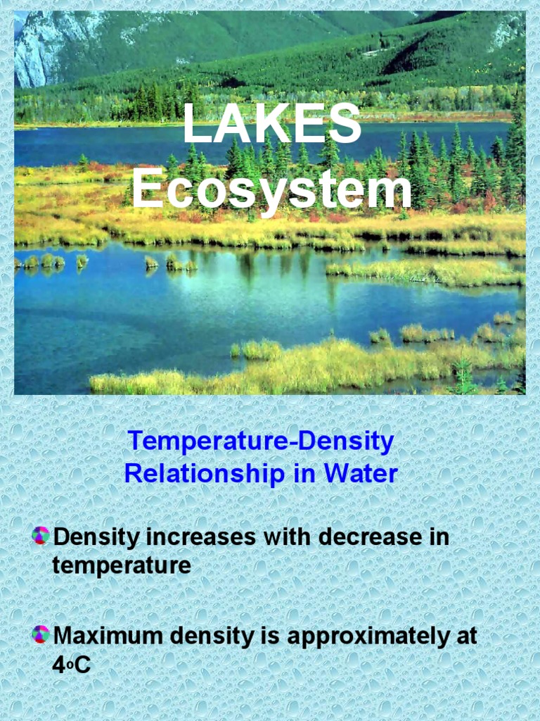 2. LAKES-EXAMPLE OF ECOSYSTEM.ppt | Lake | Hydrography
