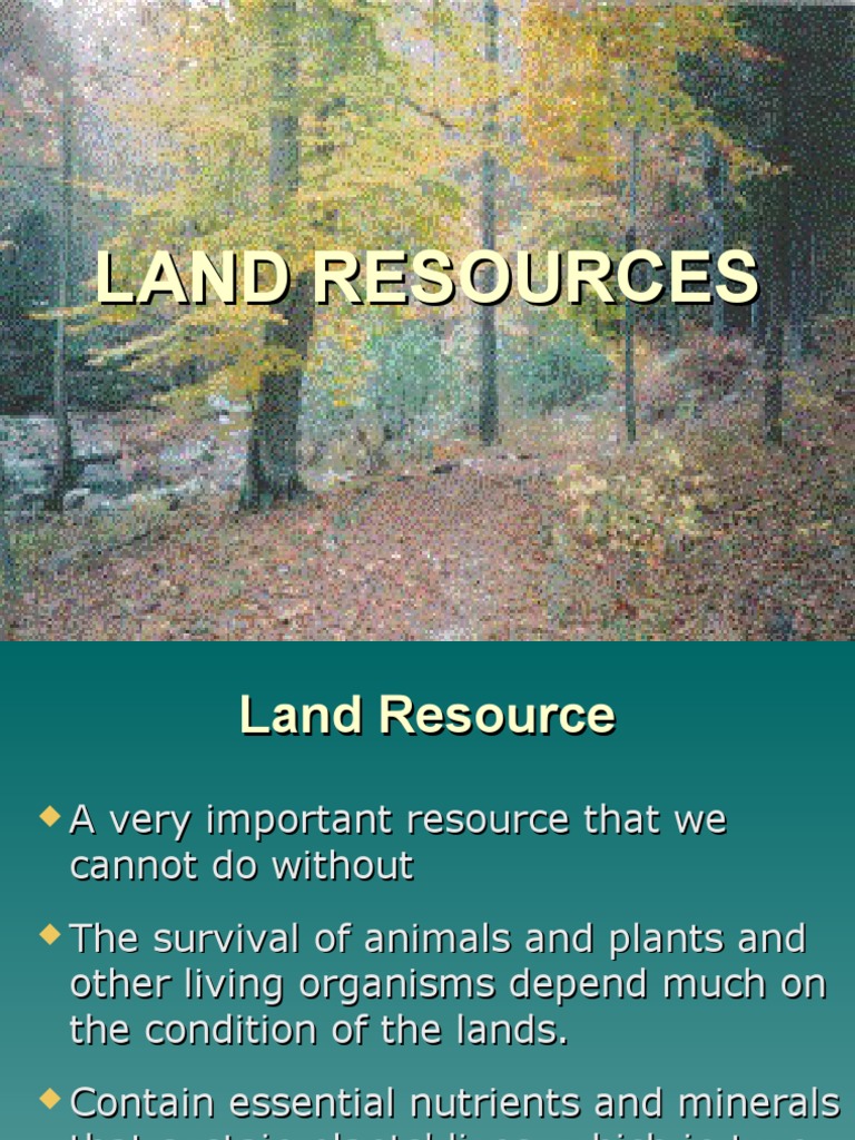 Land Resources | PDF | Erosion | Agriculture