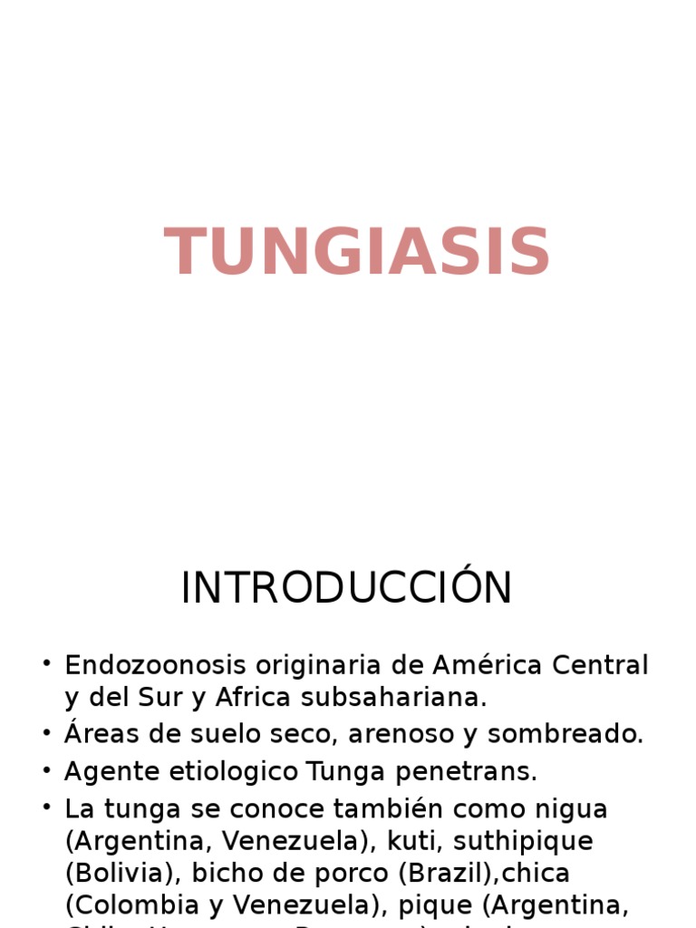 TUNGIASIS | PDF | Medicina | Microbiología