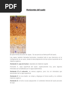 3 Capas De Suelo Suelo Superficial Subsuelo Lecho Rocoso