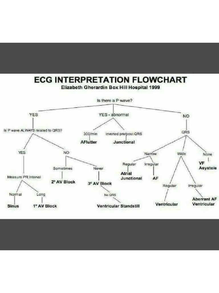 Ecg Flowchart | PDF