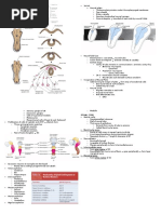 Oxford Stroke Classification: Also Known As Bamford Classification ...