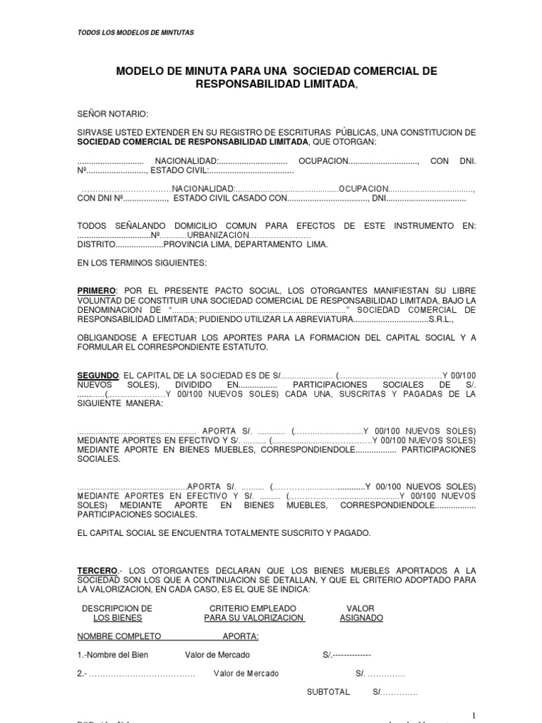 Todos Los Modelos de Minutas