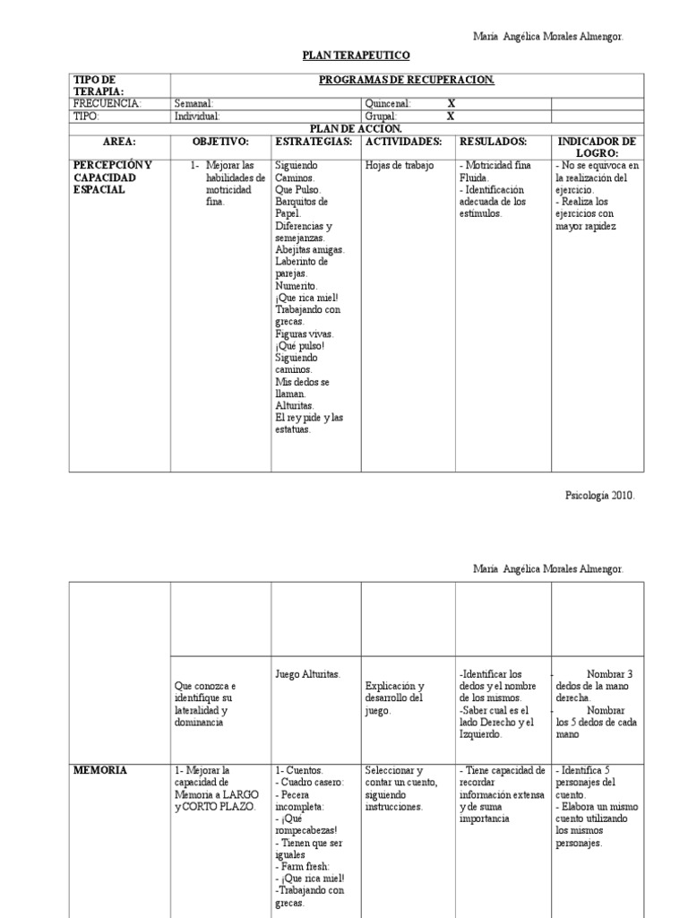 Ejemplo de Plan Terapeutico Pedagogico | PDF