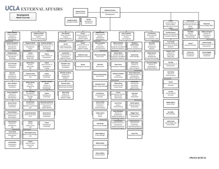 UCLA Health Development Org Chart | PDF | Life Sciences | Medical ...