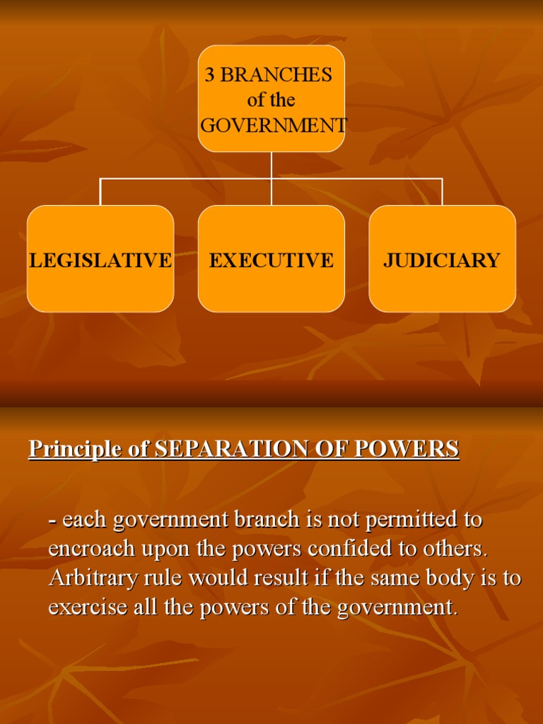 3 Branches of The Government: Legislative Executive Judiciary | PDF ...