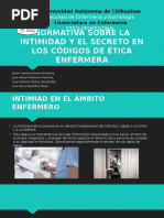 El Secreto Profesional en Enfermeria | PDF