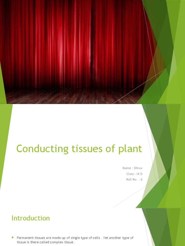Conducting Tissues | PDF | Tissue (Biology) | Plant Morphology
