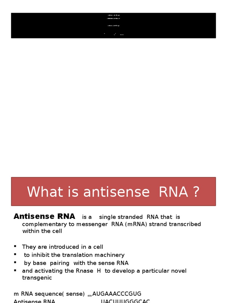 Antisense RNA Therapy | PDF | Sense (Molecular Biology) | Rna