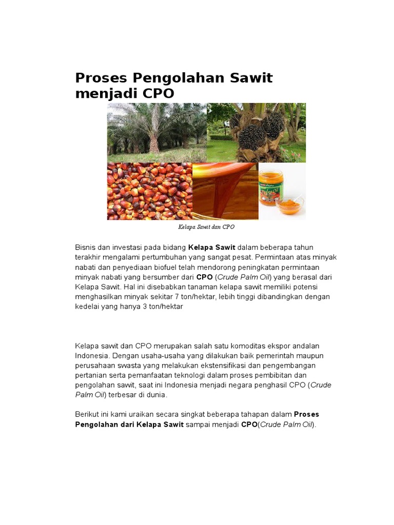 Proses Pengolahan Sawit Menjadi CPO | PDF