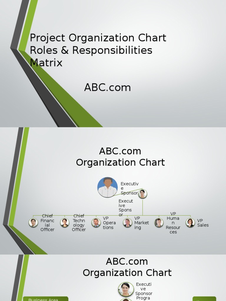 Project Organization Chart Roles & Responsibilities Matrix | PDF