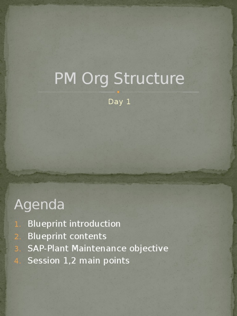 PM Org Structure | PDF | Business Process | Systems Theory