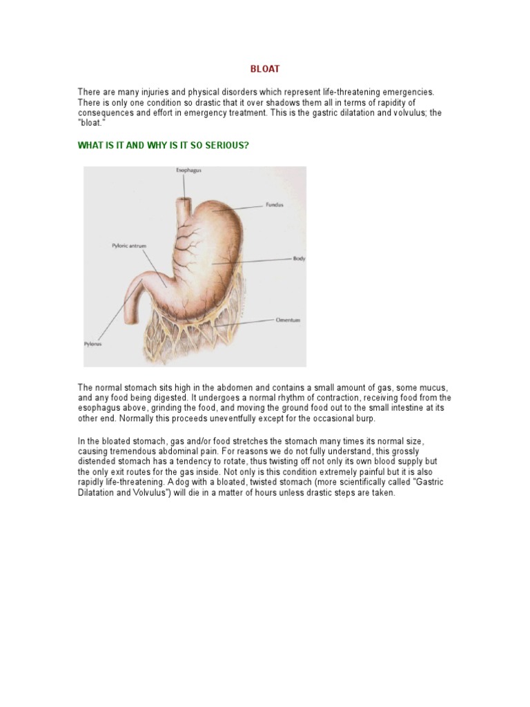 What Is It and Why Is It So Serious?: Bloat | Download Free PDF ...