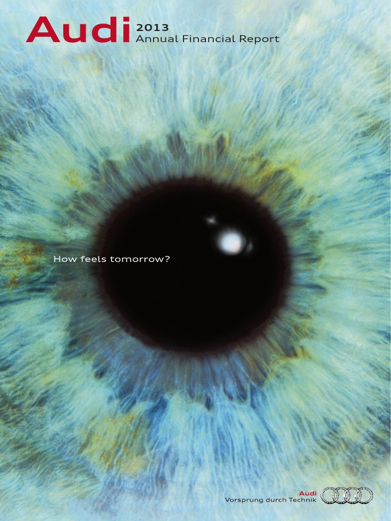 2013 Audi Annual Financial Report | PDF | Audi | Sports