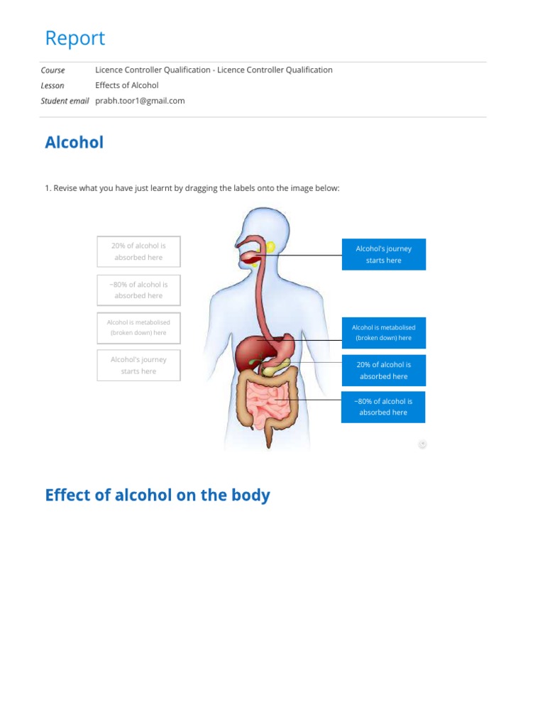 Effects of Alcohol Report | PDF | Alcoholic Drinks | Alcohol Intoxication