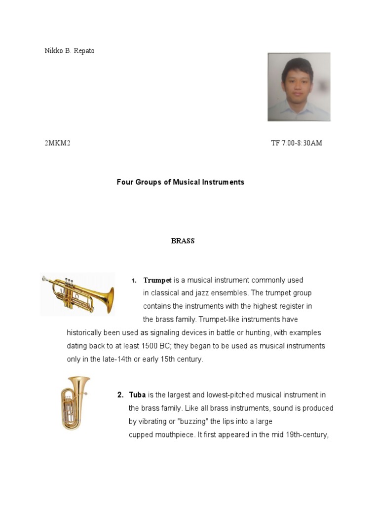 Four Groups of Musical Instruments | PDF | Woodwind Instruments ...