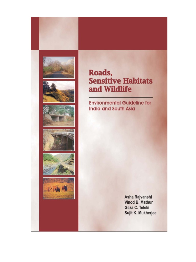 Roads Sensitive Habitats and Wildlife | PDF | Biodiversity | Wetland