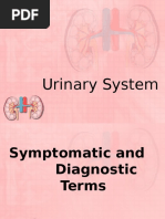 Urology Medical Terminology | PDF | Urinary System | Kidney