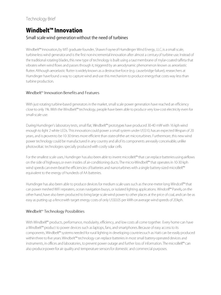 Windbelt™: Affordable Wind Energy Solution | PDF | Wind Power ...