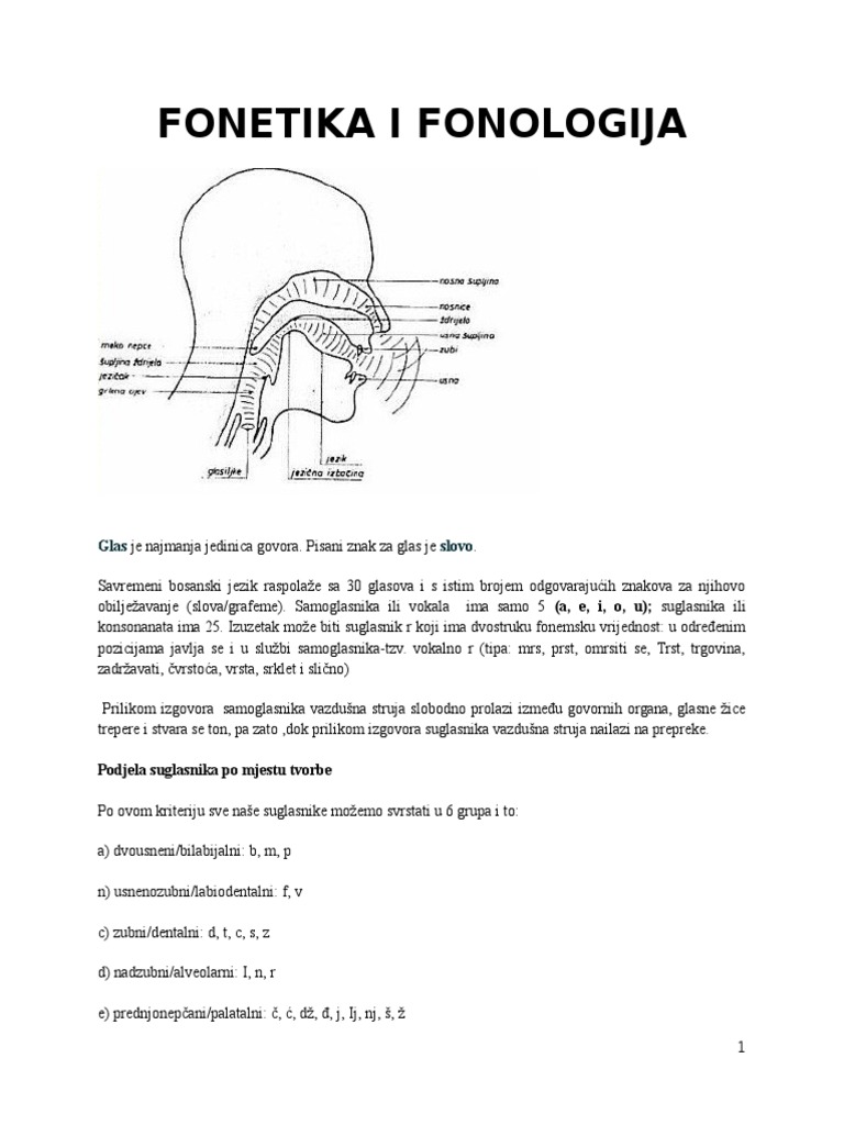 Fonetika I Fonologija, Leksika | PDF