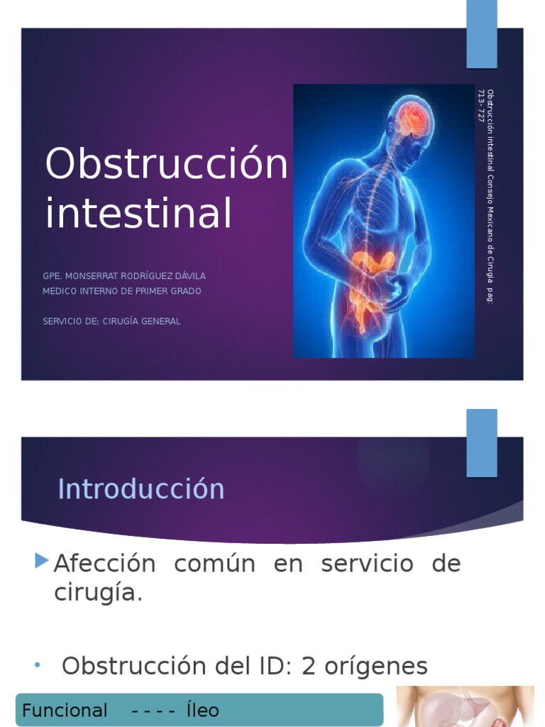 Obstrucción Intestinal Nueva | PDF | Gastroenterología | Especialidades ...