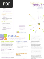 DIBELS 8th Edition Benchmark Goals | PDF | Tests | Standardized Tests