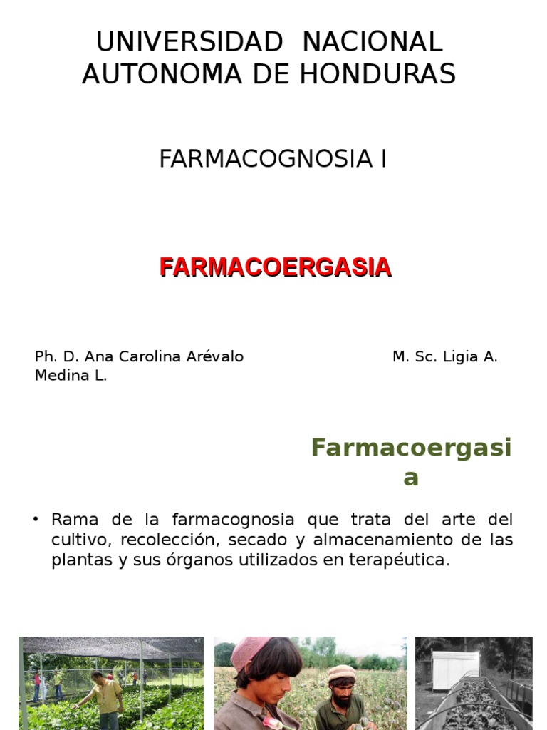 Farmacoergasia ACA y LM | PDF | Plantas | Secar en frío