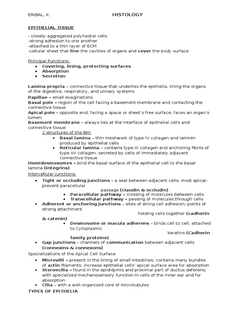 Histology Prelim Notes | PDF | Epithelium | Extracellular Matrix