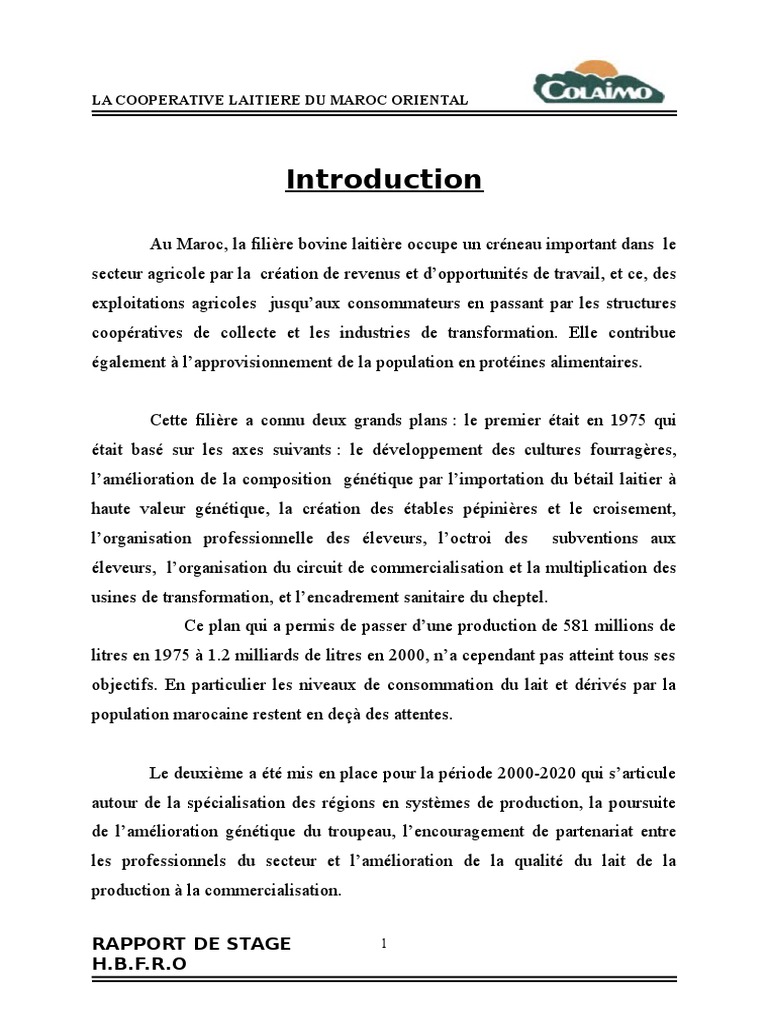Rapport de stage à la COLAIMO Oujda | PDF | Inventaire | Management de ...