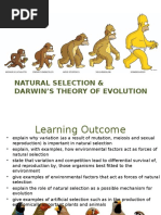 AP Environmental Science Vocabulary List and Definitions | PDF | Rock ...