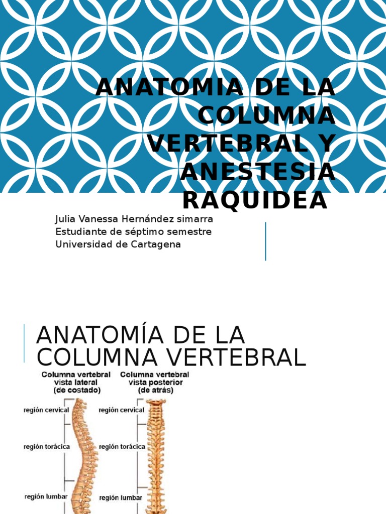 Anestesia Raquidea | PDF