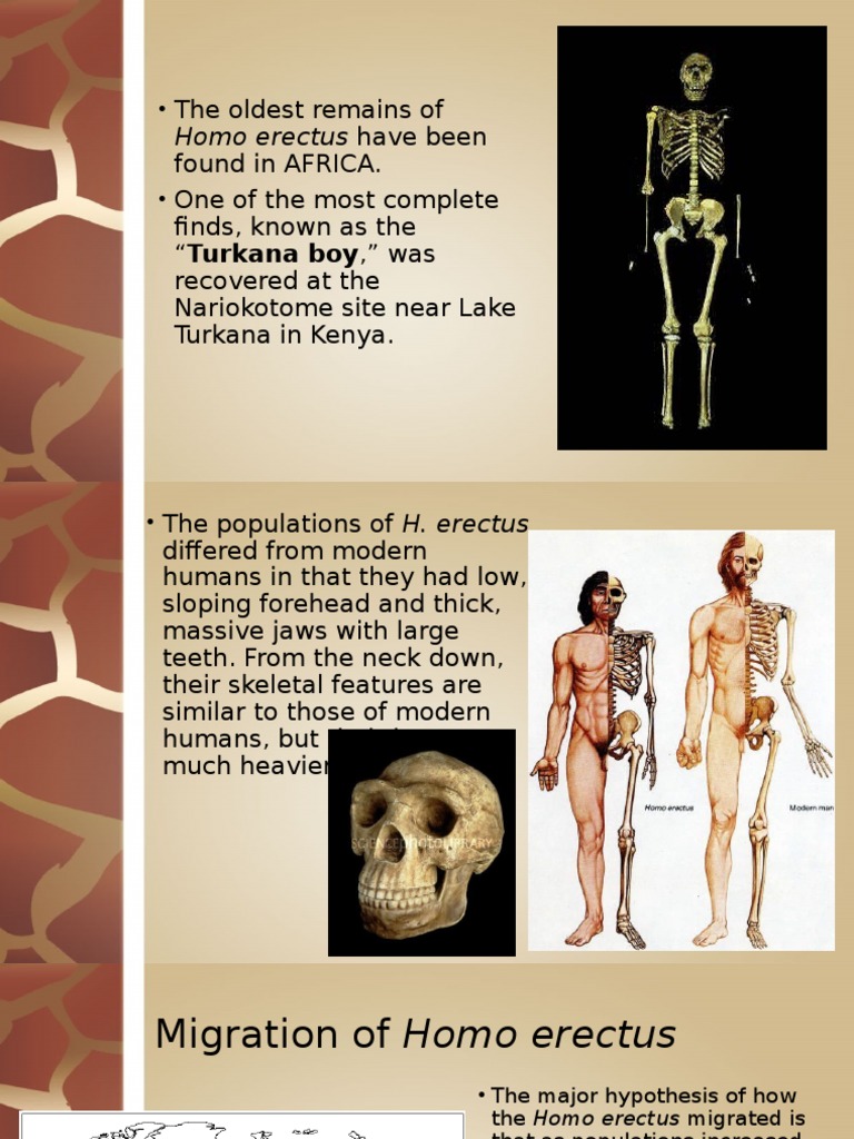 The Oldest Remains of Found in AFRICA. - One of The Most Complete Finds ...