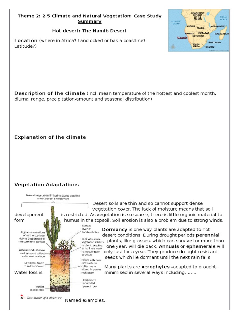 Case Study Summary Namib Desert | PDF