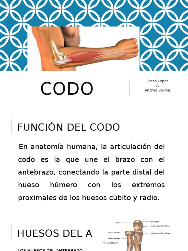 CODO